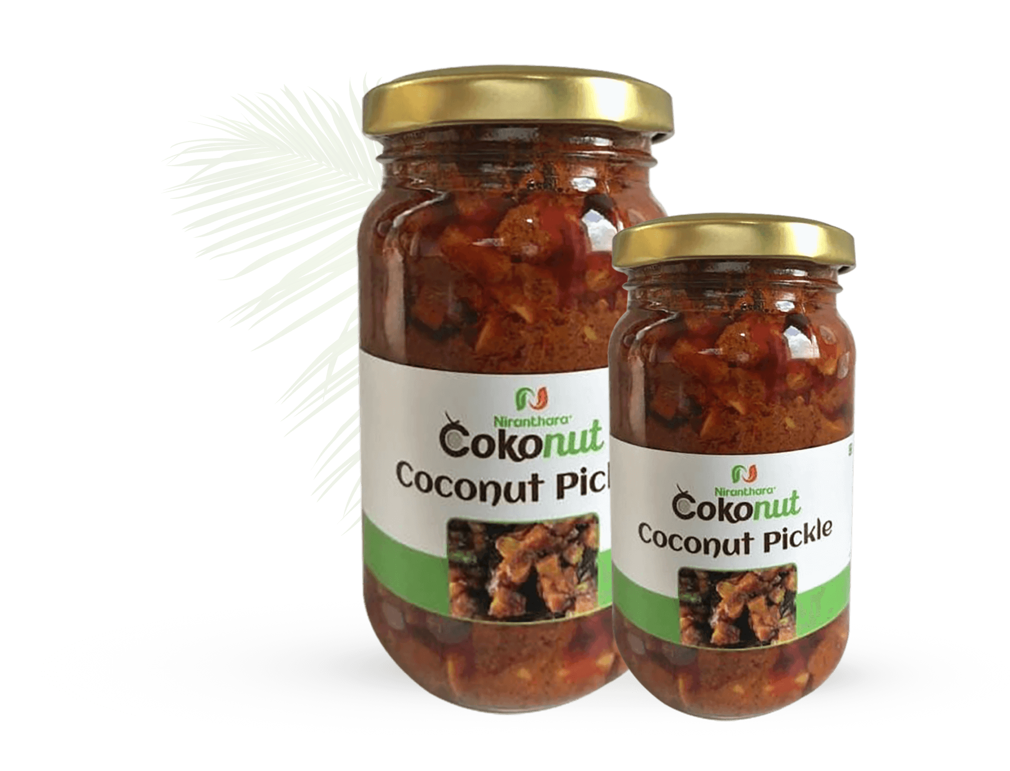 Home - Niranthara Cokonut